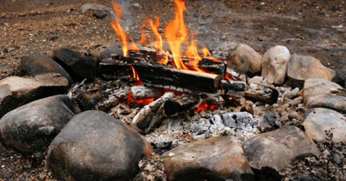 Lunch - Year 2 - StrawPoll