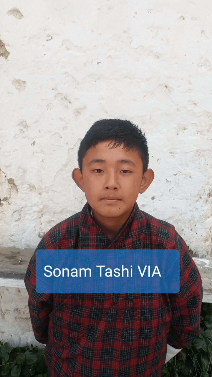 School captain boy - StrawPoll