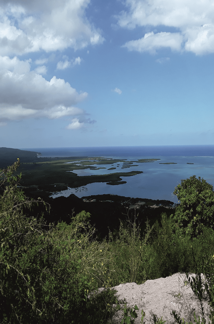 Concours photo 2023 | Laboratoire AIHP-GEODE Caraïbe - StrawPoll